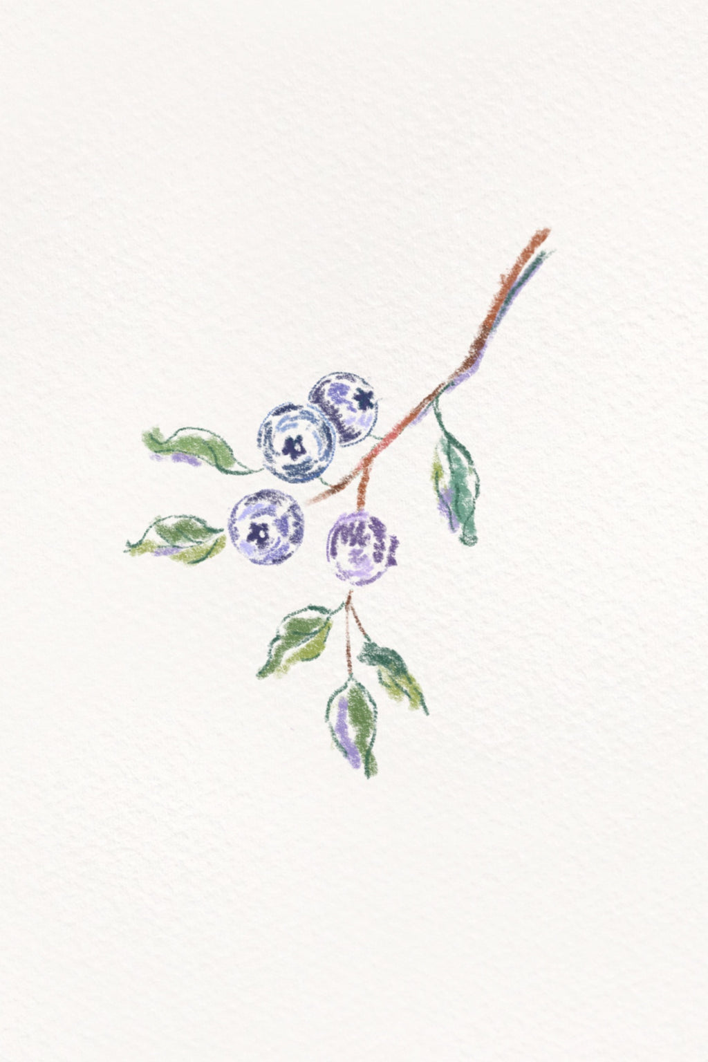 Blueberry - Crayon – Chronic Ink