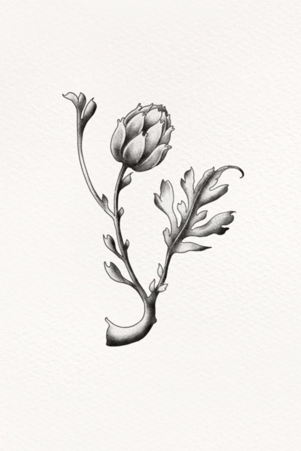 Vintage Ornamental Flower 2 – Chronic Ink