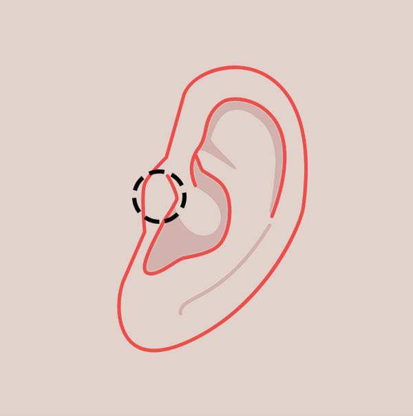 Tragus Piercing at Bathurst House – Chronic Ink