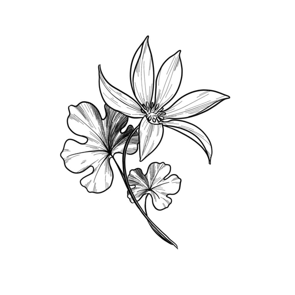 Bloodroot – Chronic Ink