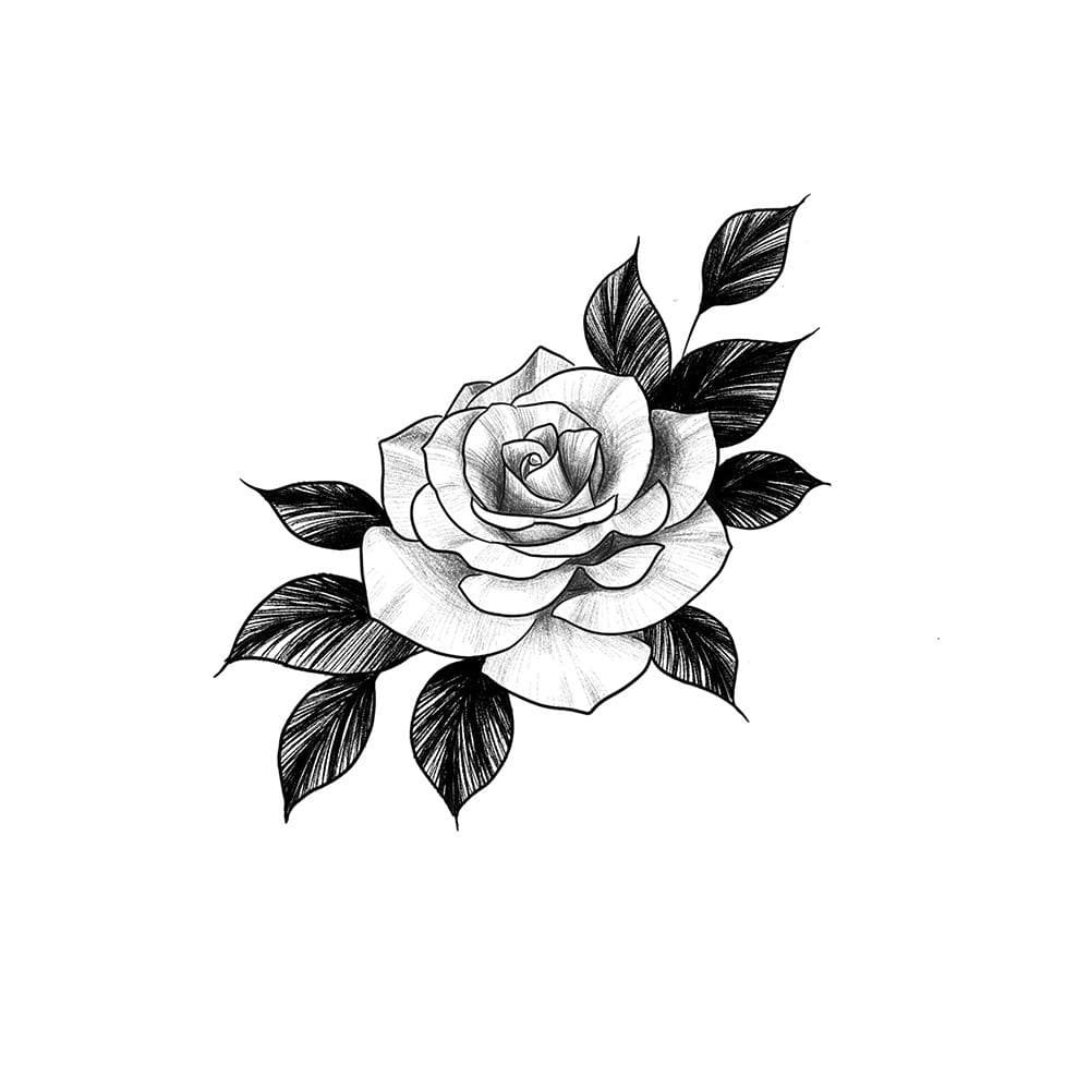 Single Rose – Chronic Ink