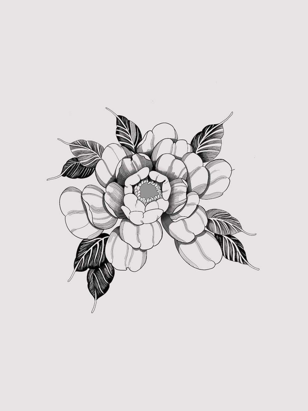 Peony – Chronic Ink