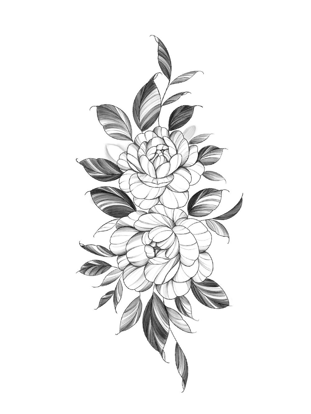 Camellias – Chronic Ink