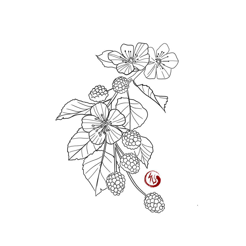 Blackberries Chronic Ink